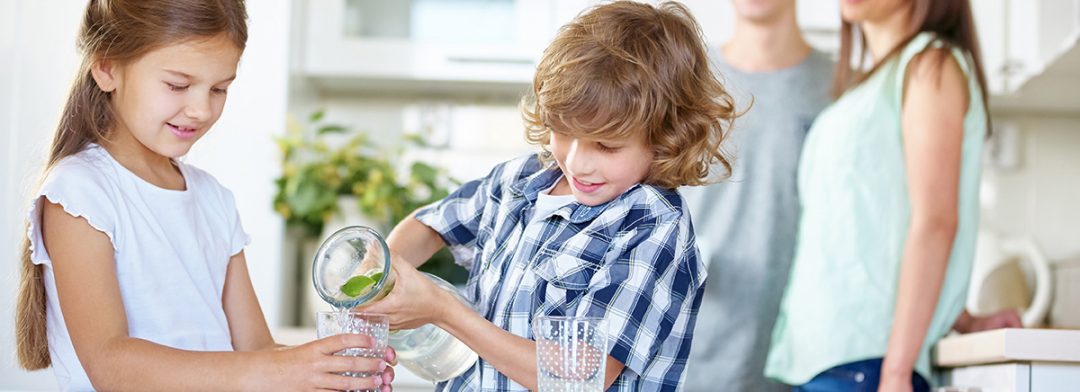 Water Tank Filtration – Rural | Pristine Water Systems