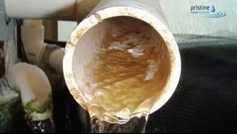 What’s Lurking in Your Water Pipes? Deep-Clean Your Water Pipework ...